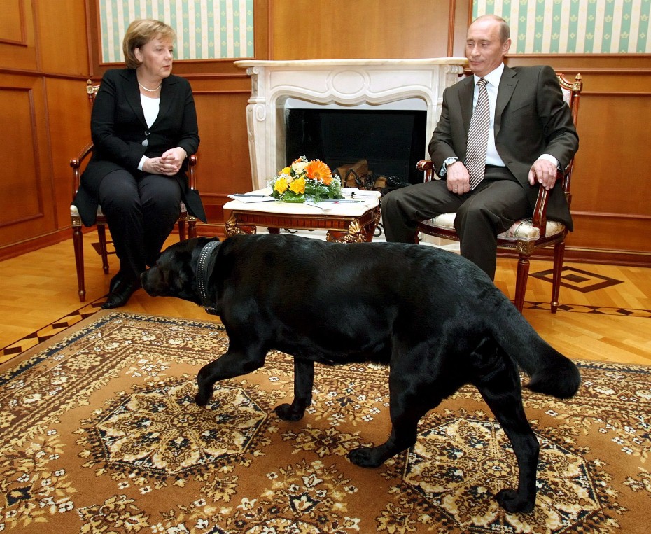 Cold War past shapes complex Merkel-Putin relationship | MediaPort